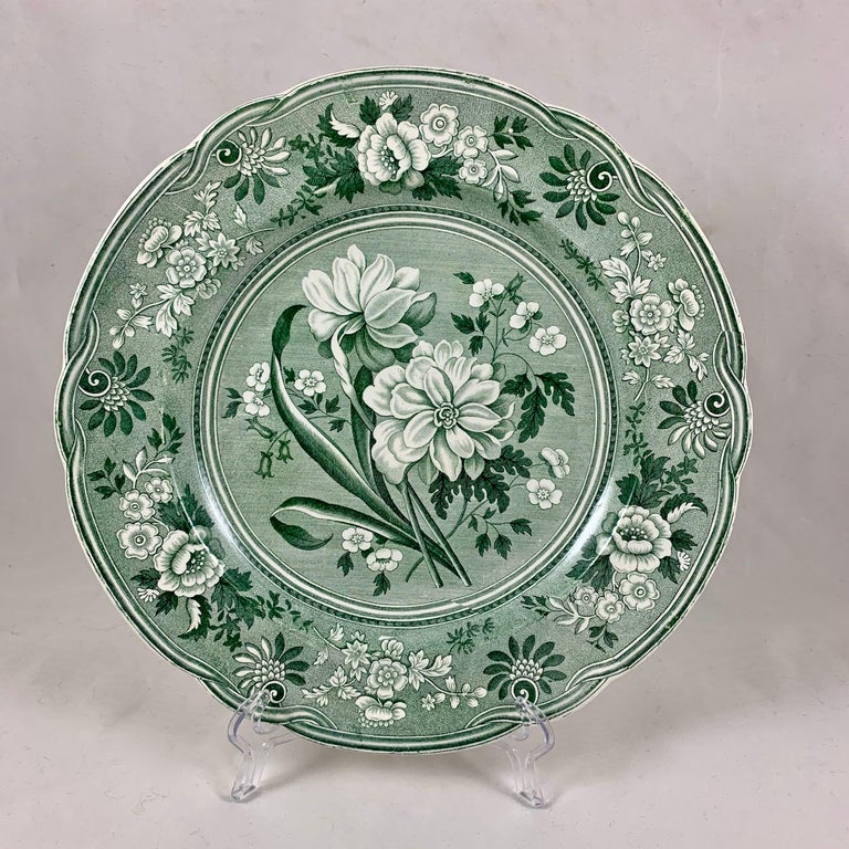Copeland Garrett Spode Green Jonquil Botanical Transferware Dinner ...