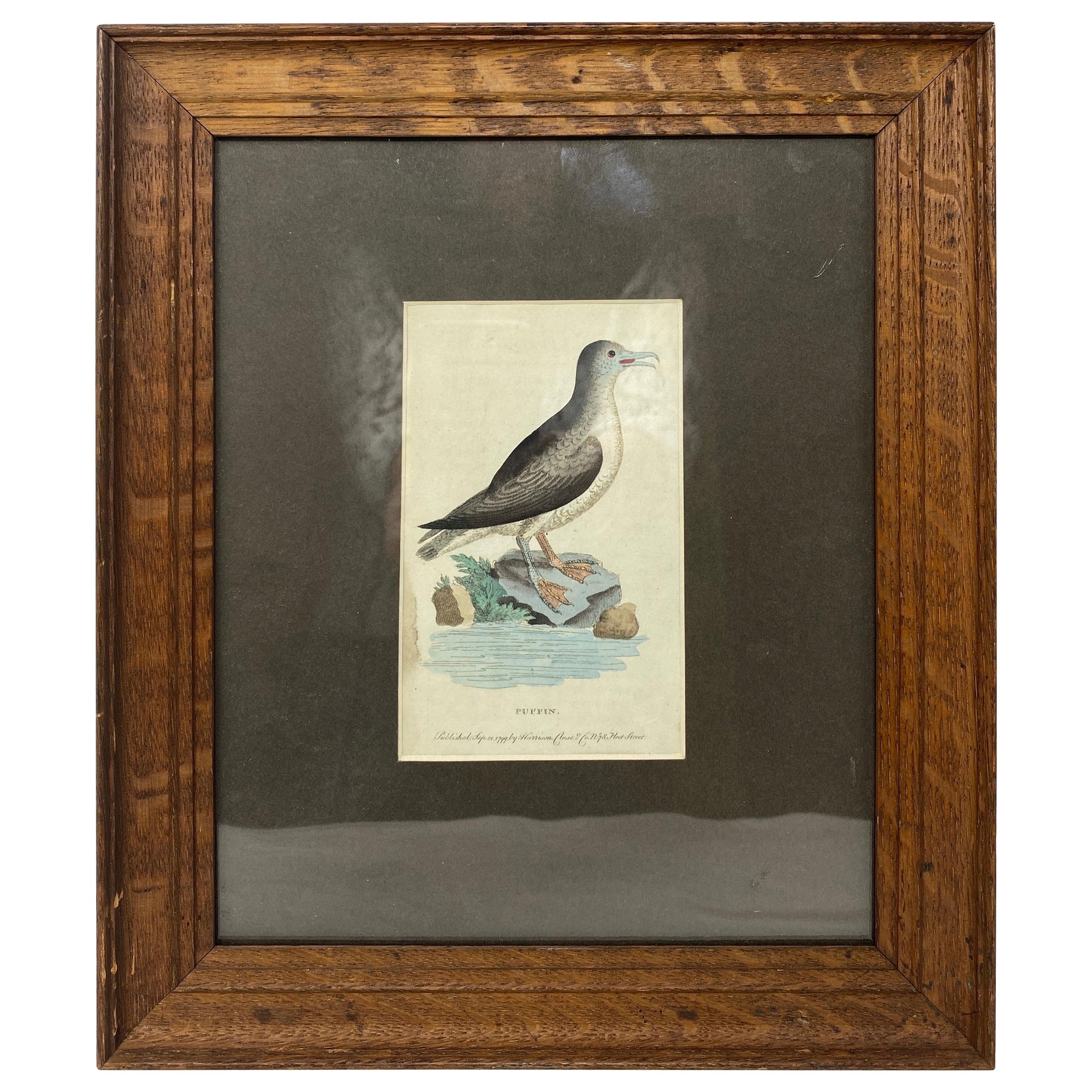 Copperplate Engraving Framed, circa 1799 For Sale at 1stDibs