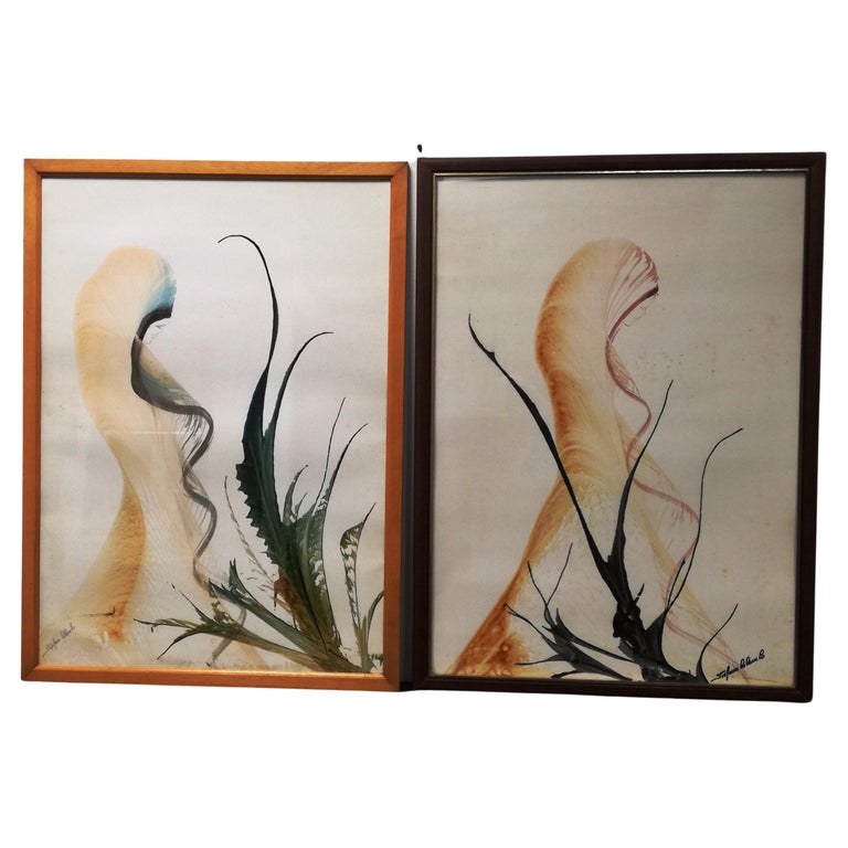 coppia di tempere by Stefano Colombo artist, anni 70 For Sale at 1stDibs