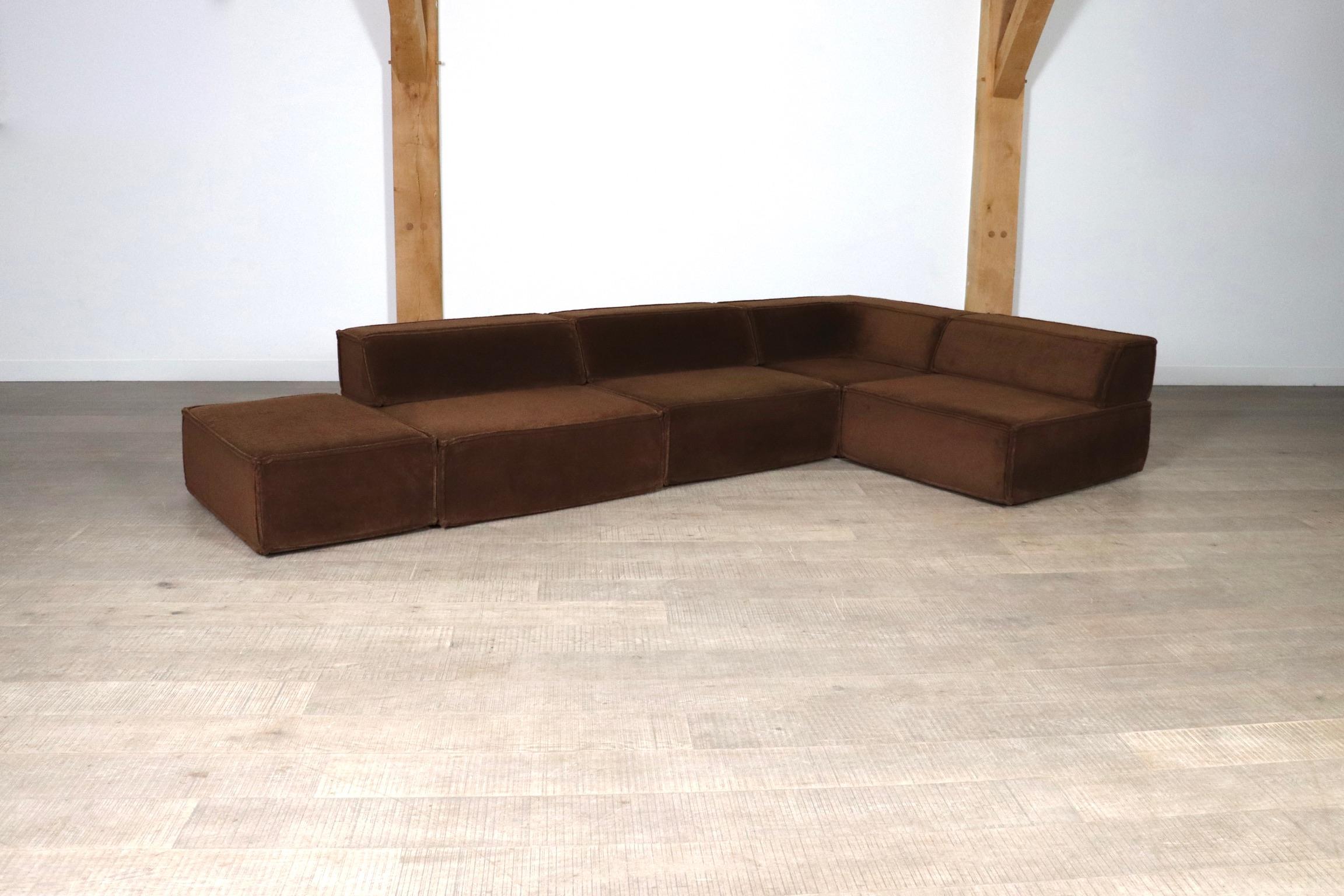 COR Trio Modular Sofa In Brown Teddy By Team Form AG, 1970s For Sale at ...