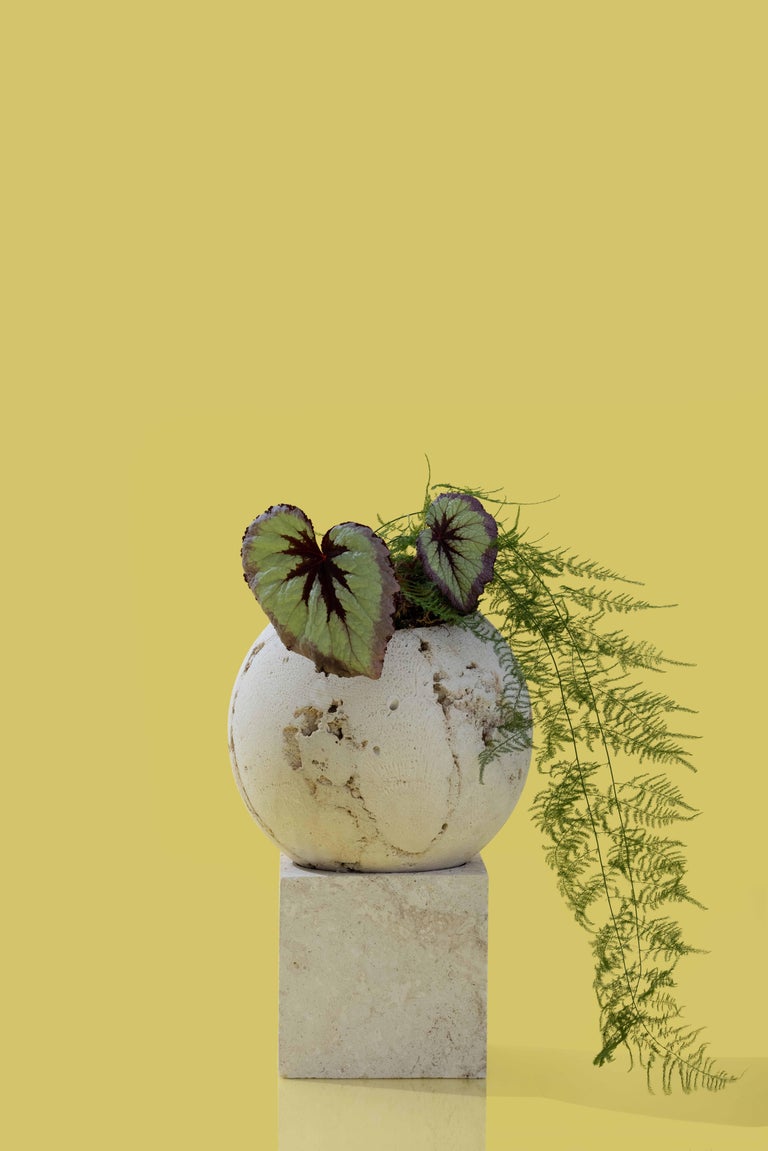 Coral Rock Star Planter For Sale at 1stDibs