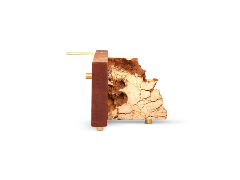Coral Slab with Quartz Particles, Brass and Mahogany Block Coffee ...