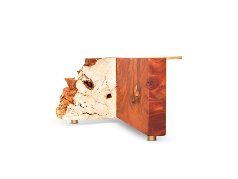 Coral Slab with Quartz Particles, Brass and Mahogany Block Coffee ...