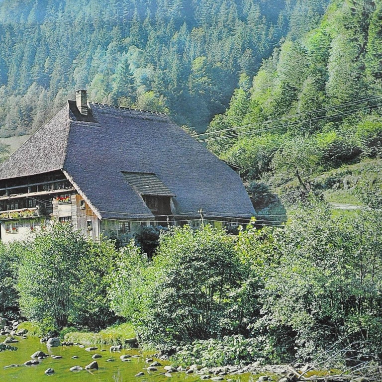 Cottagecore Black Forest House Landscape Scenery River Dam Wall Chart ...