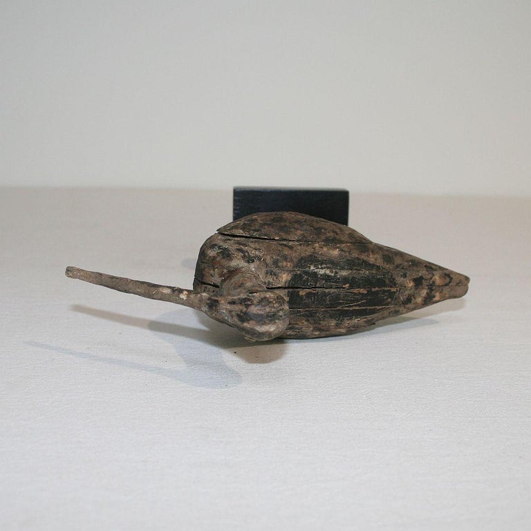 Couple of 19th Century French Snipe Decoys at 1stdibs