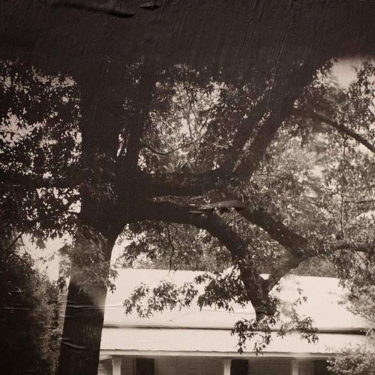 Courtney J Garrett - While You Were Sleeping No. 6 My Heart In A Hollow ...