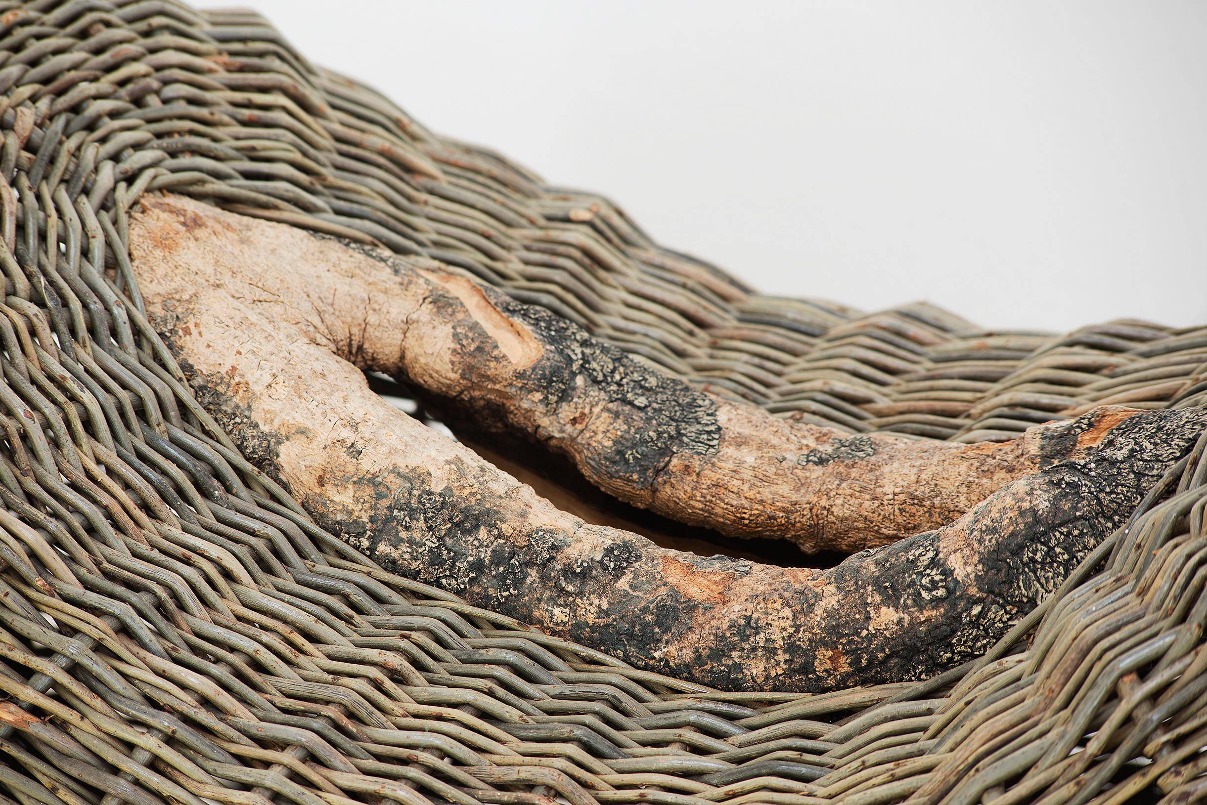 Crafted basket by Joe Hogan, Irland, 2009 at 1stDibs
