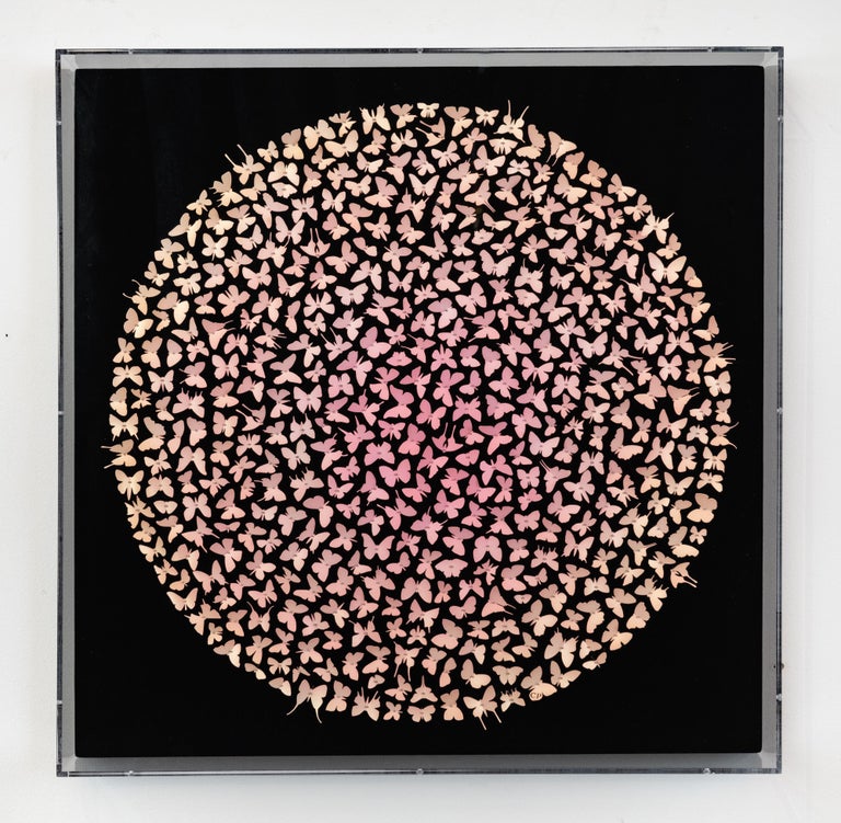 Charles Patrick - I Want to See You Again For Sale at 1stDibs