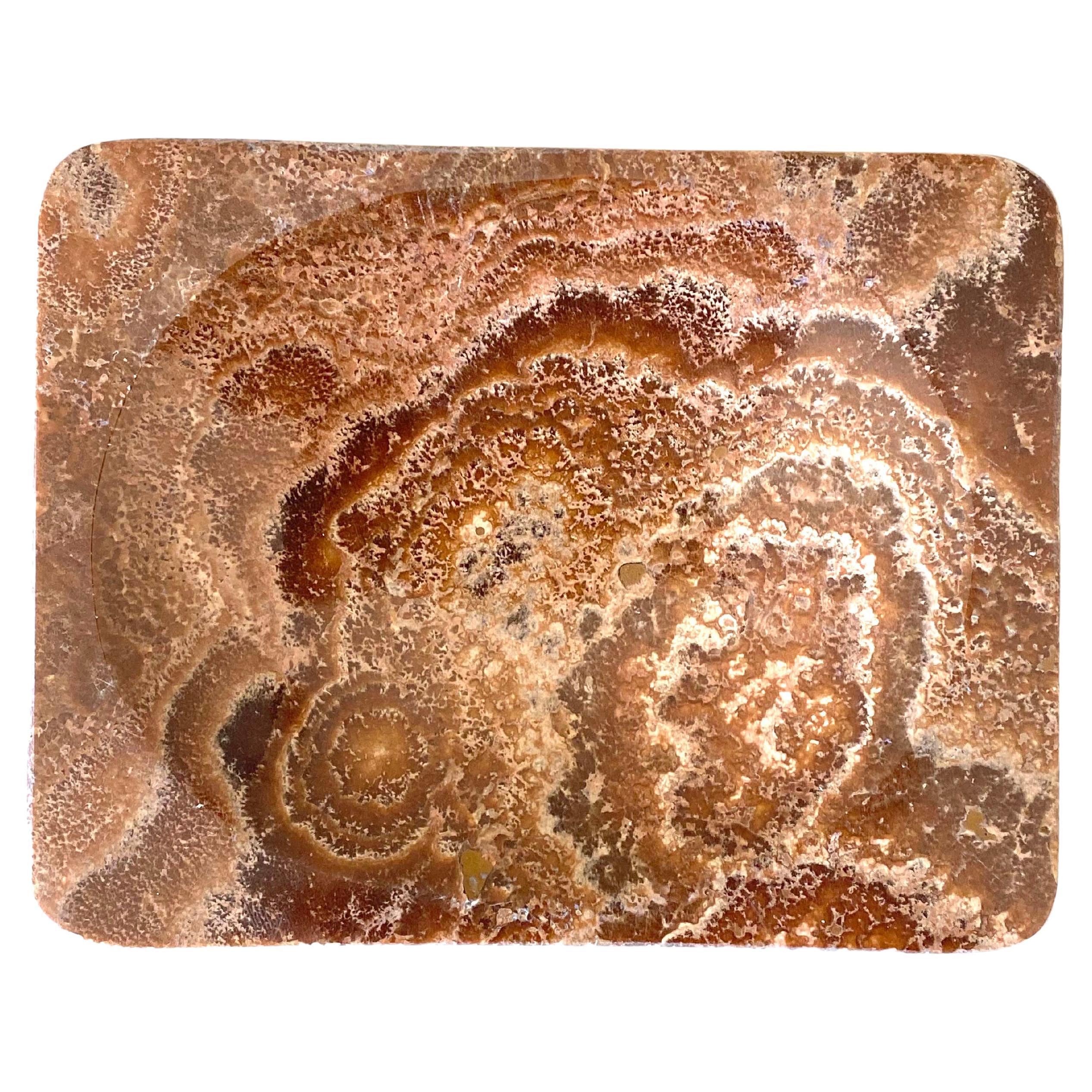 Contemporary Tray For Sale at 1stDibs