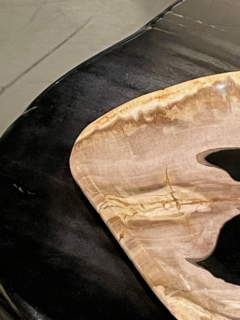 Cream, Black and Beige Petrified Wood Plate, Indonesian, Prehistoric ...