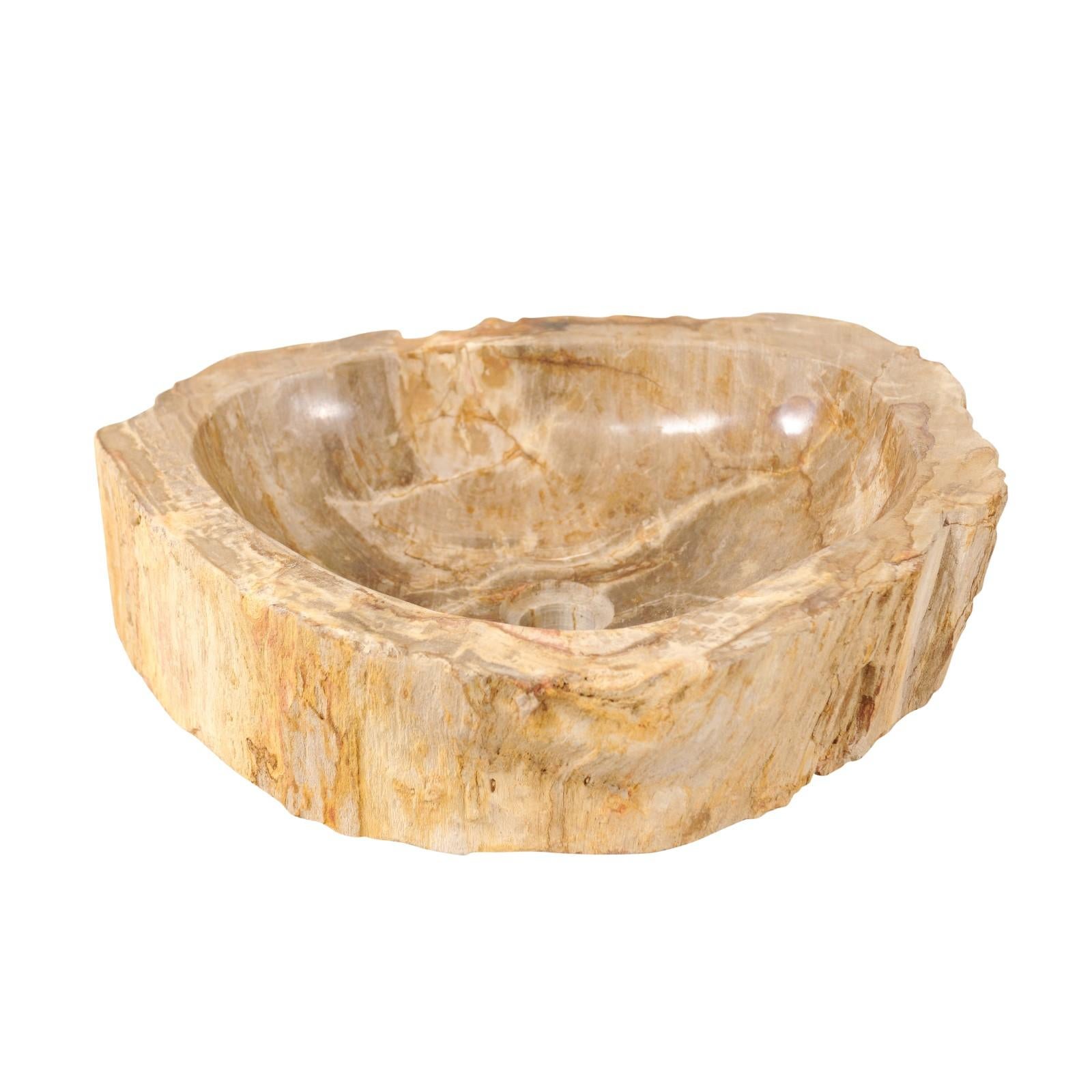 An Elegant Kidney-Shaped Polished Petrified Wood Sink with a Live-Edge ...