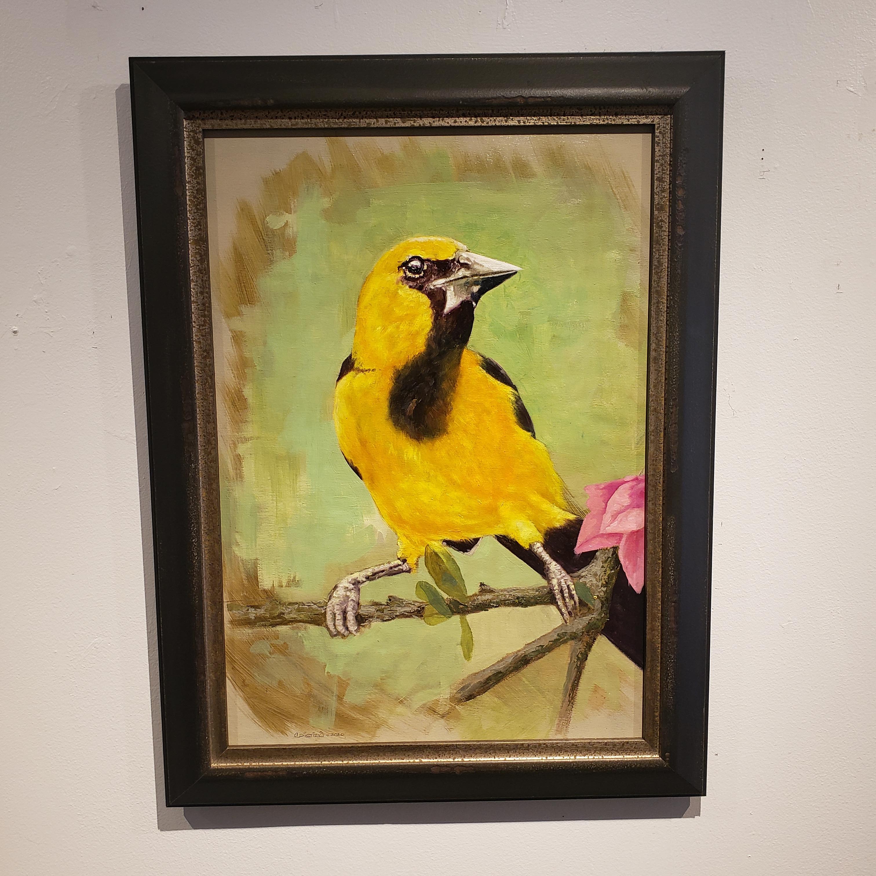 Cristian Mesa Velazquez - The Cuban Finch, oil painting, Impressionism ...
