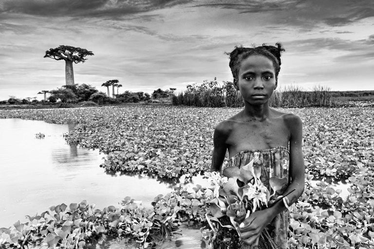 Cristina Mittermeier - Lillies For Sale at 1stDibs