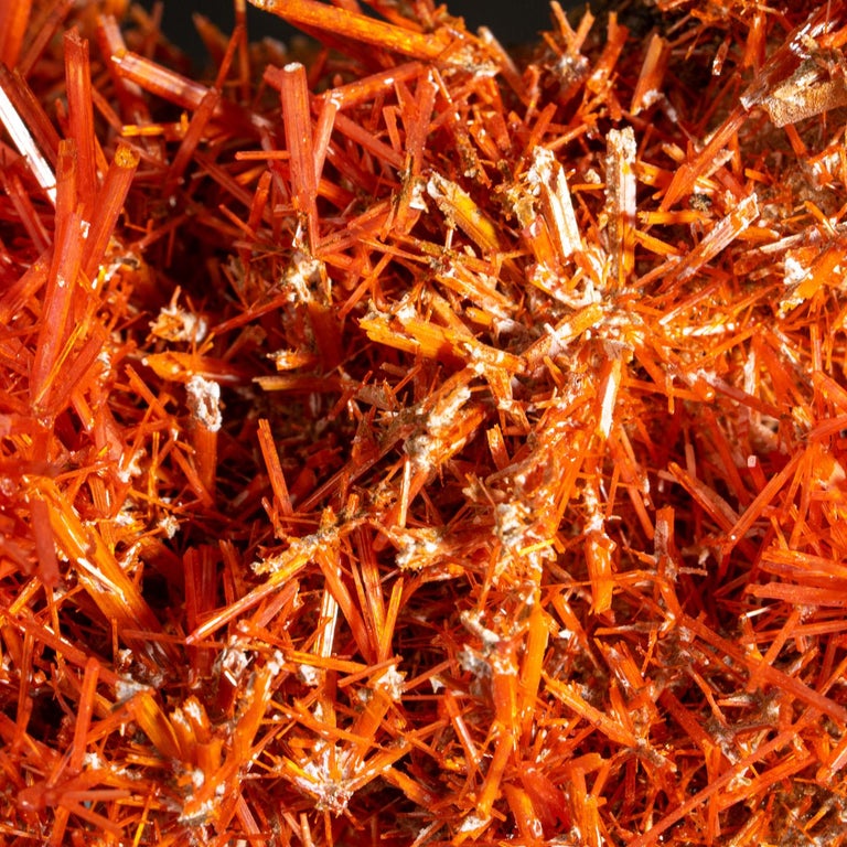 Crocoite from Red Lead Mine, Dundas, Tasmania, Australia For Sale at ...