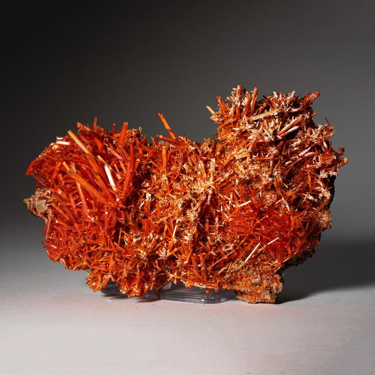 Crocoite from Red Lead Mine, Dundas, Tasmania, Australia For Sale at ...
