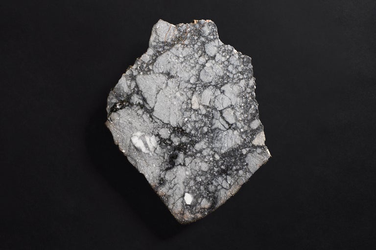 Cross Section of Exceptional Lunar Meteorite For Sale at 1stDibs
