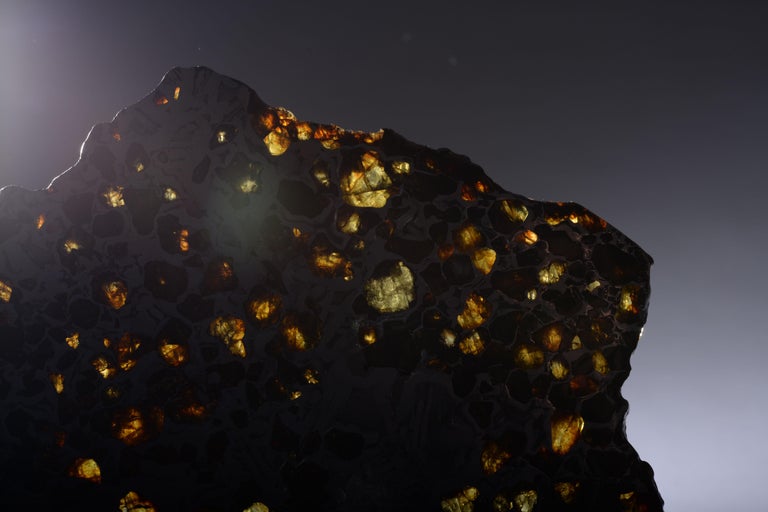 Cross Section of the Seymchan Meteorite For Sale at 1stDibs