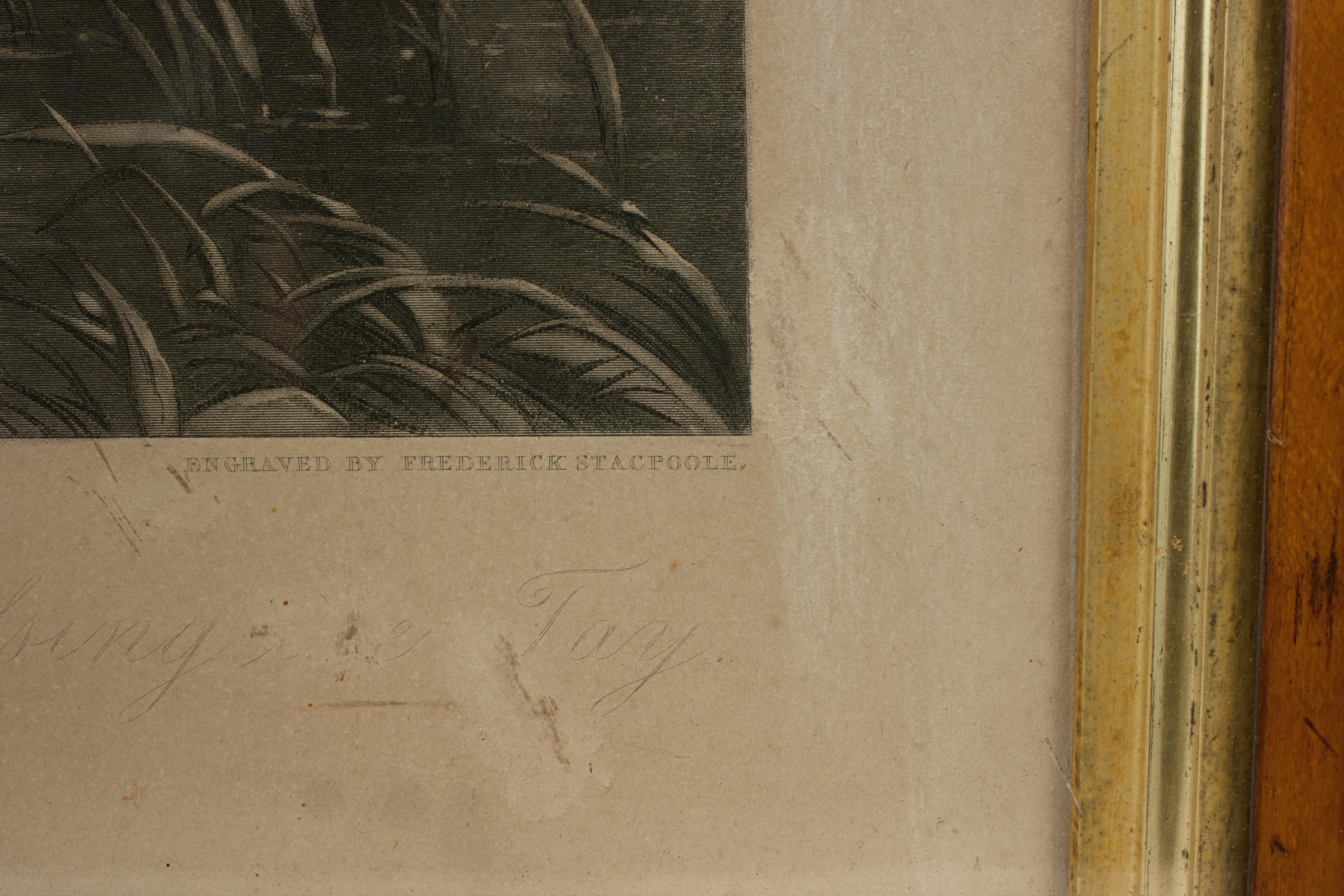 Crossing The Tay, Antique Otter Hunting Engraving, Southern Highlands ...