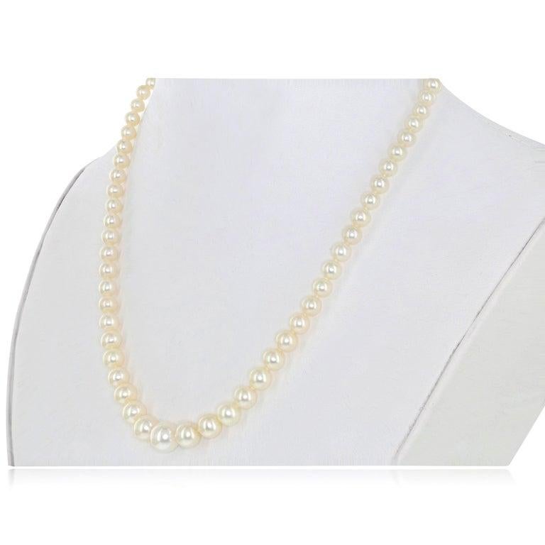 Cultured Freshwater Graduated Pearl Necklace with Sterling Silver Clasp ...