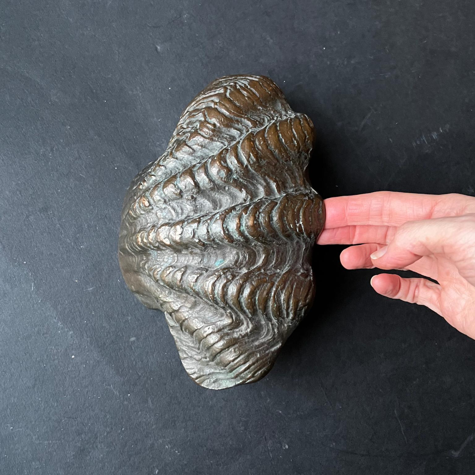 Curved Bronze Door Handle in the Shape of a Seashell, Europe 20th ...