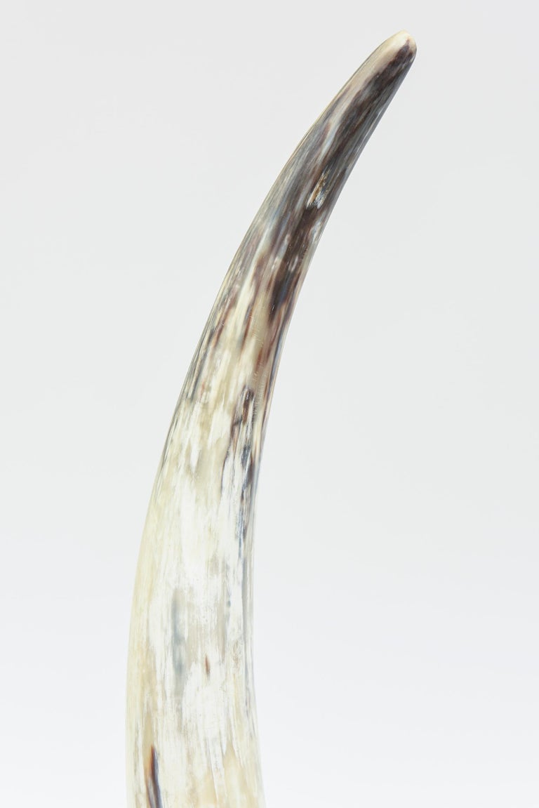 Curved Horn and Mirror Cube Sculptures Pair of For Sale at 1stDibs