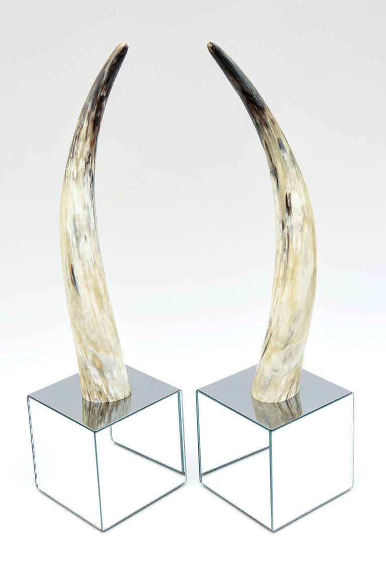 Curved Horn and Mirror Cube Sculptures Pair of For Sale at 1stDibs