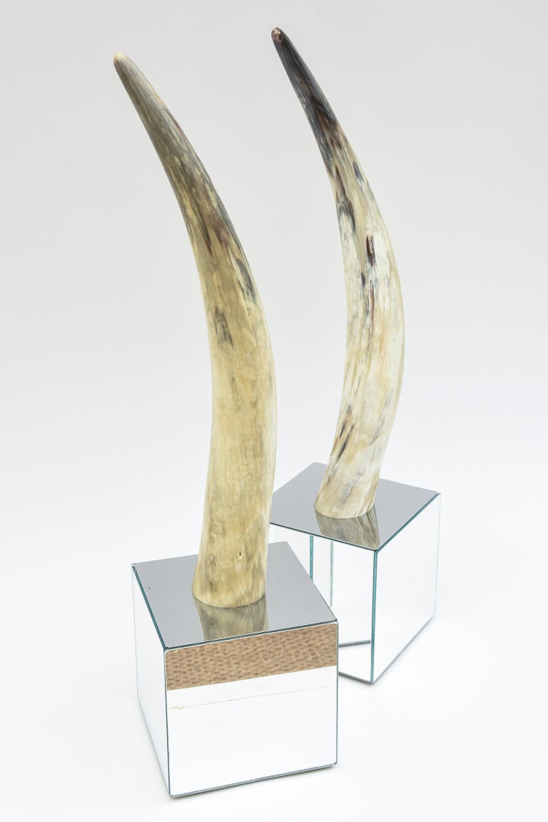 Curved Horn and Mirror Cube Sculptures Pair of For Sale at 1stDibs