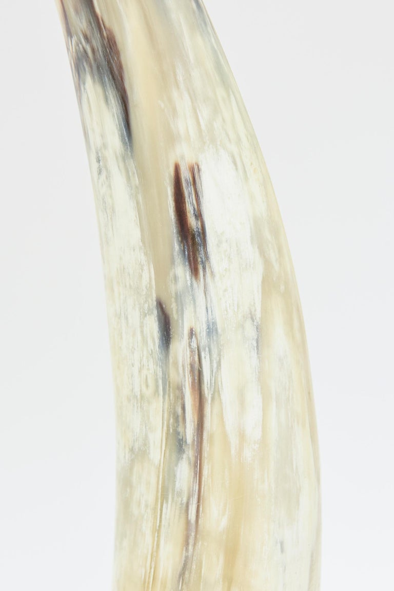 Curved Horn and Mirror Cube Sculptures Pair of For Sale at 1stDibs