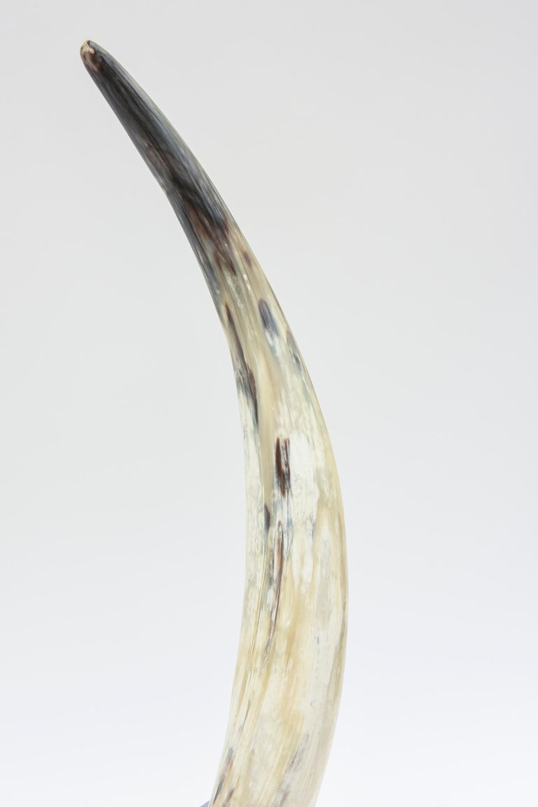 Curved Horn and Mirror Cube Sculptures Pair of For Sale at 1stDibs