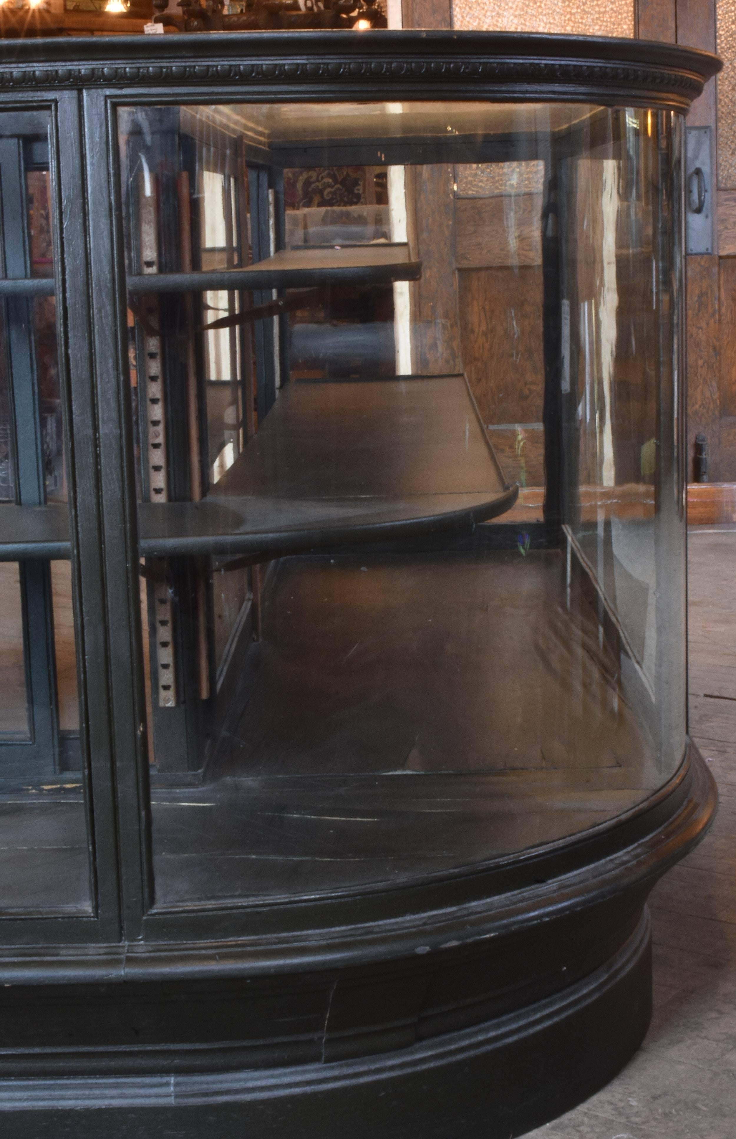Curved Oak Display Case at 1stDibs
