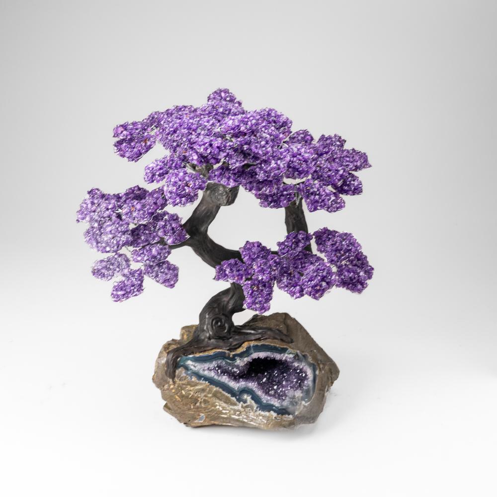 Custom Designed, Genuine Amethyst Clustered Gemstone Tree on Amethyst ...