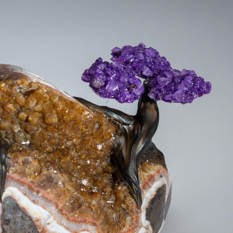 Amethyst Clustered Gemstone Tree on Citrine Matrix For Sale at 1stDibs