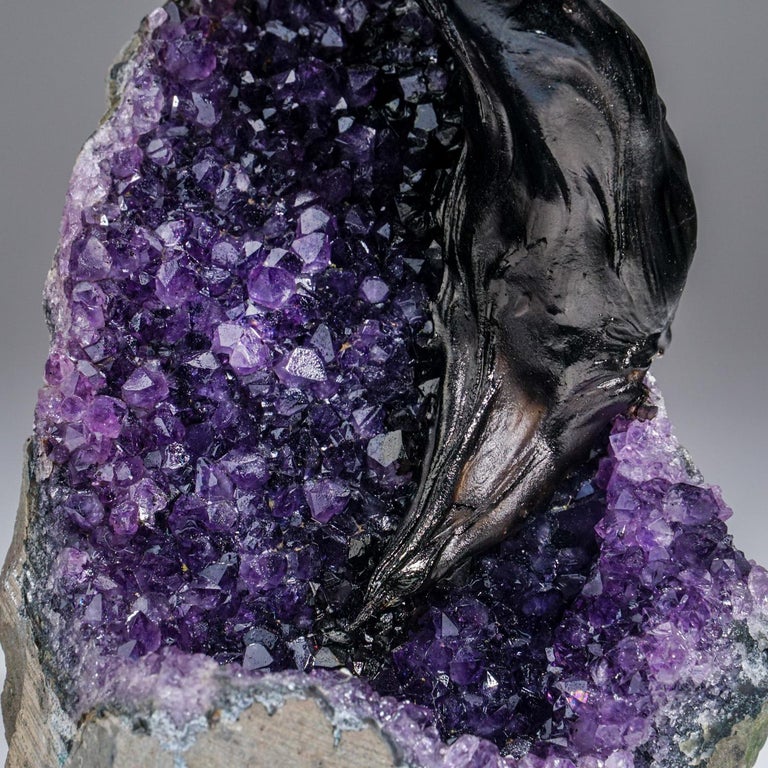 Amethyst Clustered Gemstone Tree on Amethyst Matrix For Sale at 1stDibs