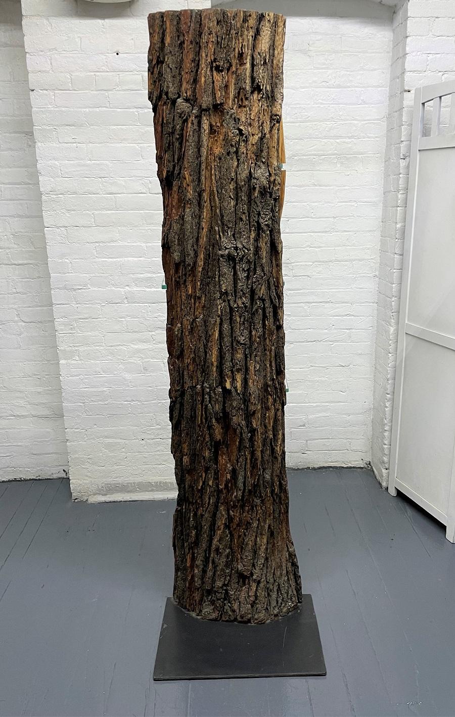 Custom Made Slab Red Oak Stand with Glass Shelves For Sale at 1stDibs ...