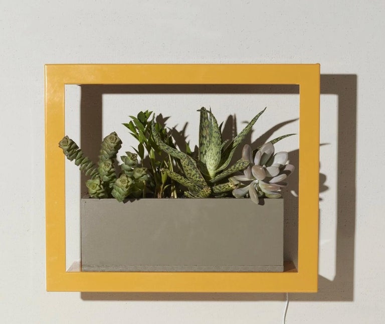 Custom Modern Sprout Living Wall Installation, 8 Frames, Black, Yellow ...