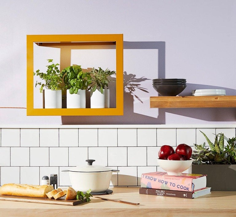 Custom Modern Sprout Living Wall Installation, 8 Frames, Black, Yellow ...