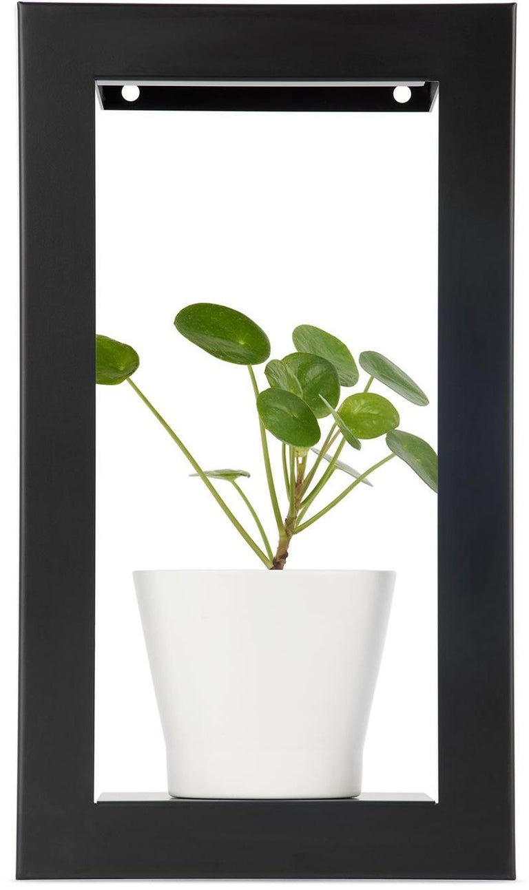 Custom Modern Sprout Living Wall Installation, 8 Frames, Black, Yellow ...