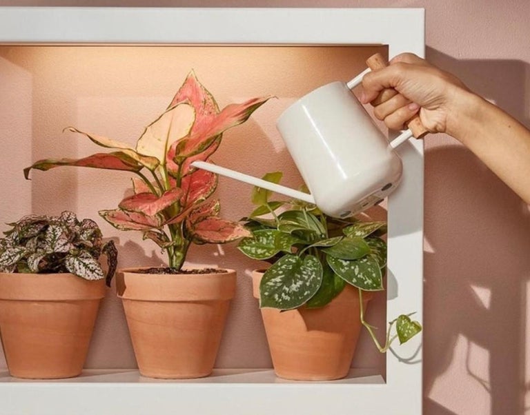 Custom Modern Sprout Living Wall Installation, 8 White Frames, USA at ...