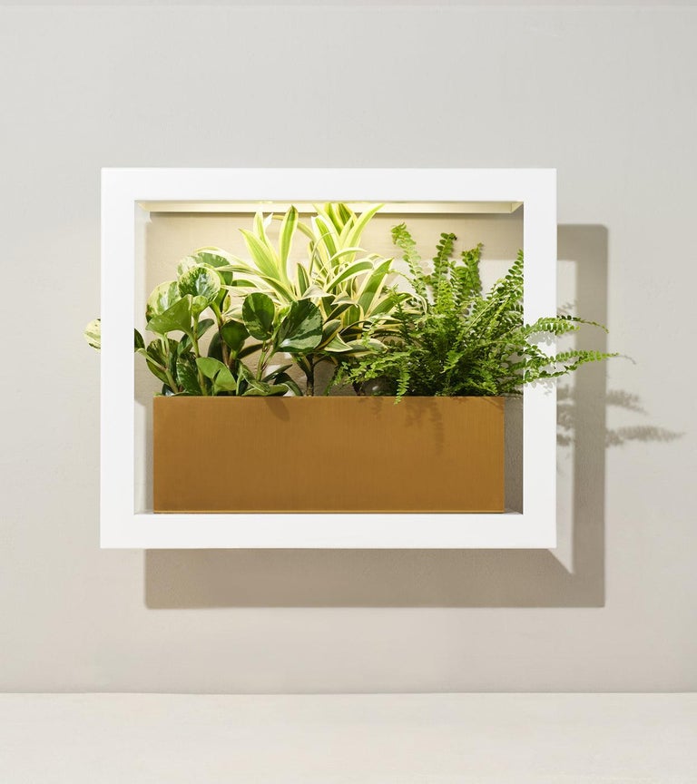 Custom Modern Sprout Living Wall Installation, 8 White Frames, USA at ...
