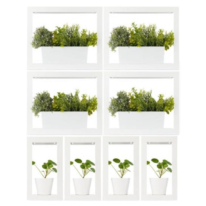 Custom Modern Sprout Living Wall Installation, 8 White Frames, USA at ...