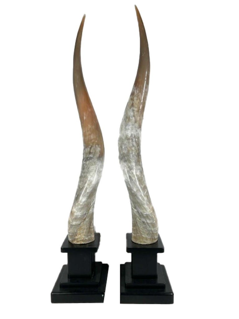 Decorative Longhorn Horns | Shelly Lighting