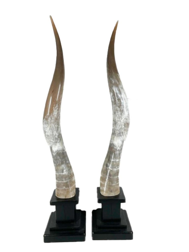 Custom Mounted Pair of Matching Long Horn Steer Horns For Sale at 1stDibs