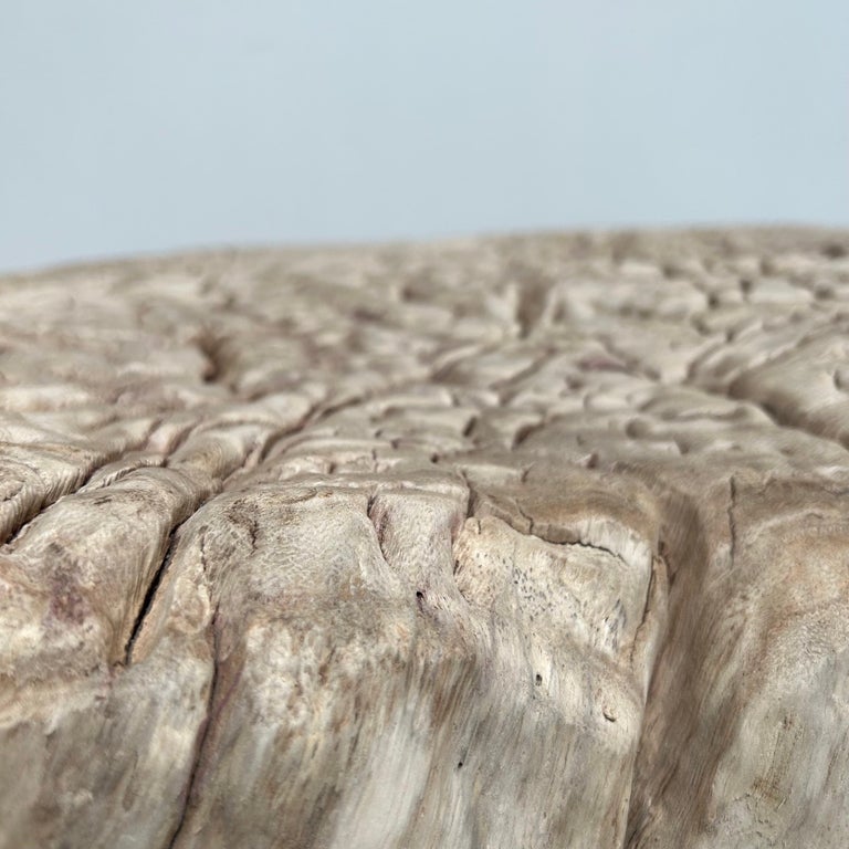 Cypress Wood Stump Side Table For Sale at 1stDibs