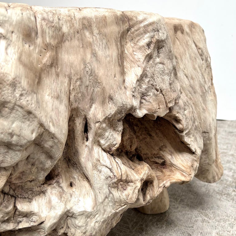 Cypress Wood Stump Side Table For Sale at 1stDibs