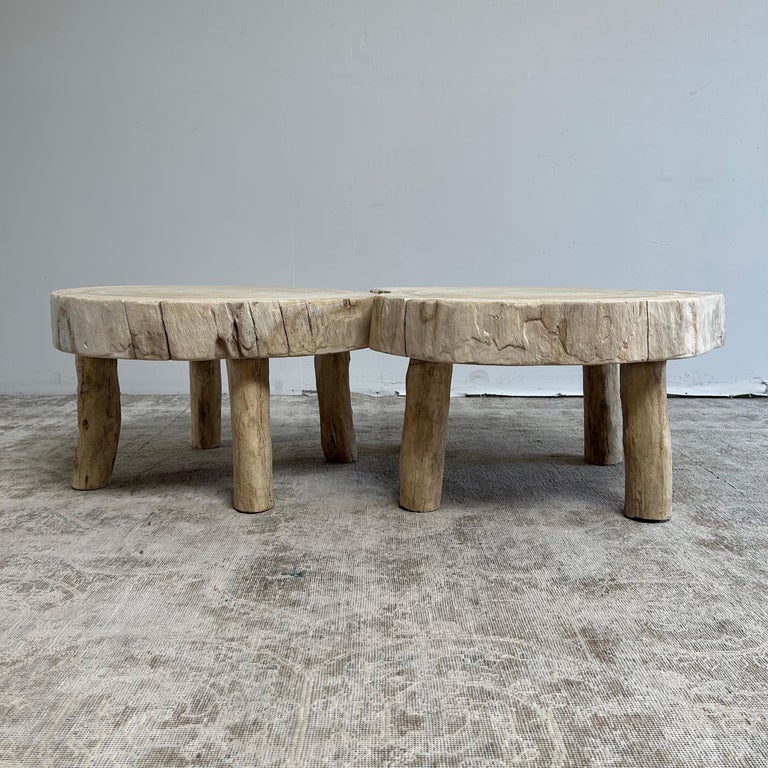 Cypress Wood Stump Slice Coffee Table Set For Sale at 1stDibs