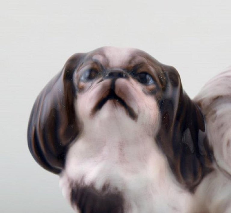 Dahl Jensen Dog Figurine, Pekingese, Decoration Number 1146 at 1stDibs