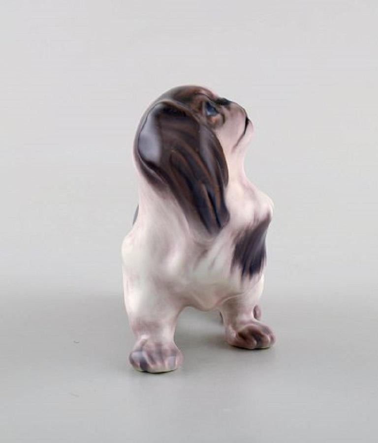 Dahl Jensen Dog Figurine, Pekingese, Decoration Number 1146 at 1stDibs