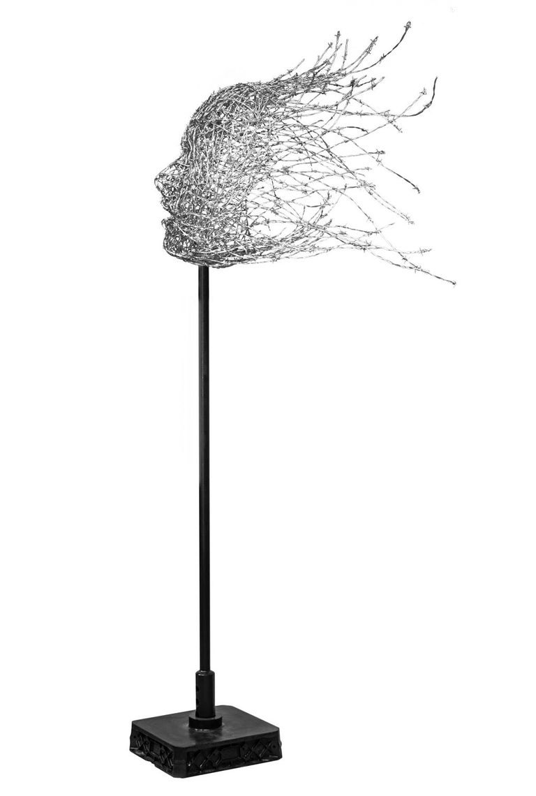 Dale Dunning - Sparkler - tall, metallic, figurative, barbed wire mesh ...