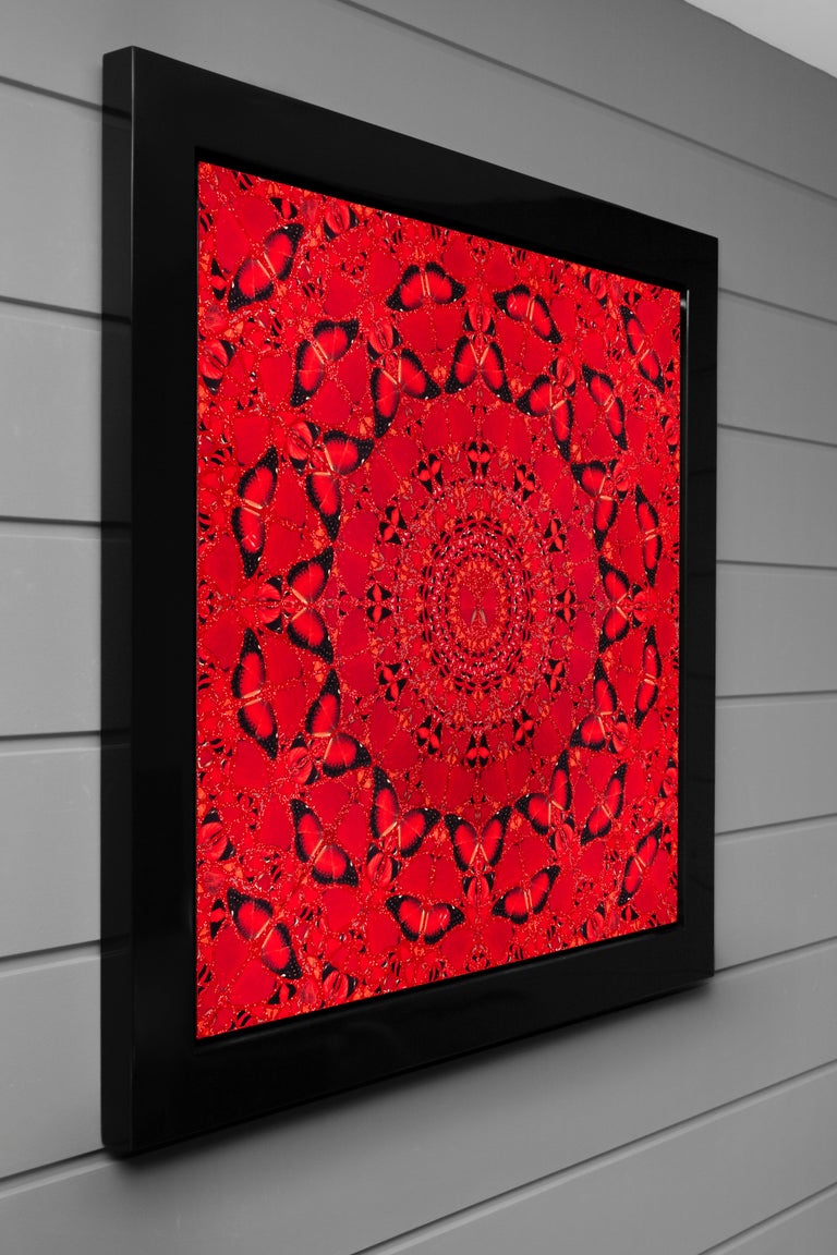Damien Hirst - Damien Hirst, 'Suiko' with Diamond Dust (unframed), 2022 ...