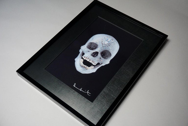 Damien Hirst - Damien Hirst, 3D Skull, (2012) at 1stDibs